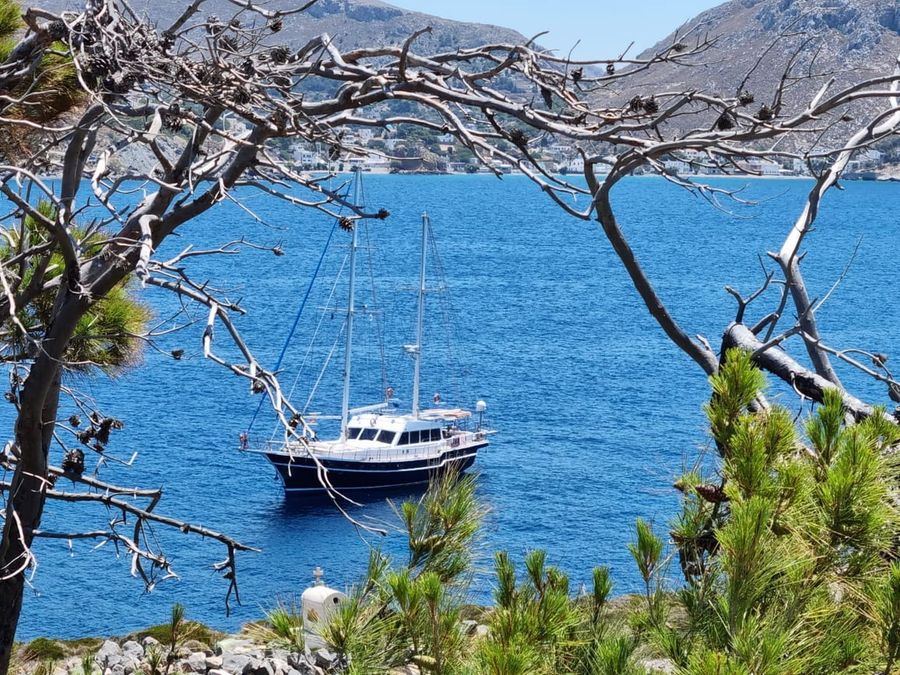 Delos & Rhenia Islands Adventure: Shared Cruise & BBQ on a 89ft Gulet ...